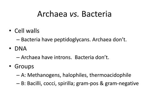 Archaea Vs Bacteria Definition 15 Major Differences