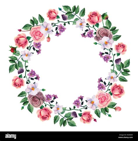 Aquarell Kranz Rosa Rosen Hand Gemalte Blumen Floral Frame Vector
