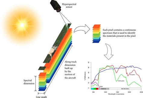 In A Hyperspectral Imagings Pushbroom Mode The Camera Scans The