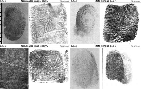 accuracy and reliability of forensic latent fingerprint decisions pnas