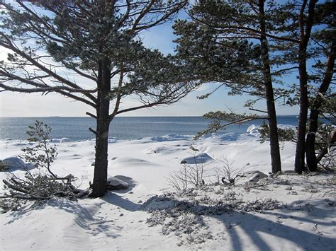 Free Images Tree Nature Horizon Wilderness Mountain Snow Lake