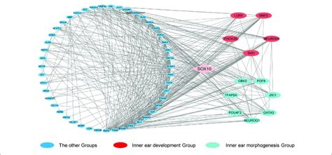 Protein Protein Interaction Network Of Differentially Expressed Genes