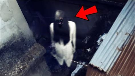 Videos De Terror Que No Te Dejaran Dormir Hasta Las Am Youtube