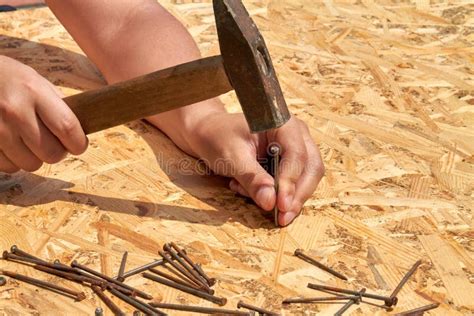 Mans Hammering Nails Into Plywood Surface Close Up Stock Image Image Of Concept Plywood