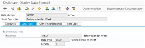Custom Input Helps SAP Community