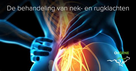 Lage Rugklachten Wat Zijn Lage Rugklachten En Welke Zijn Er Een Overzicht