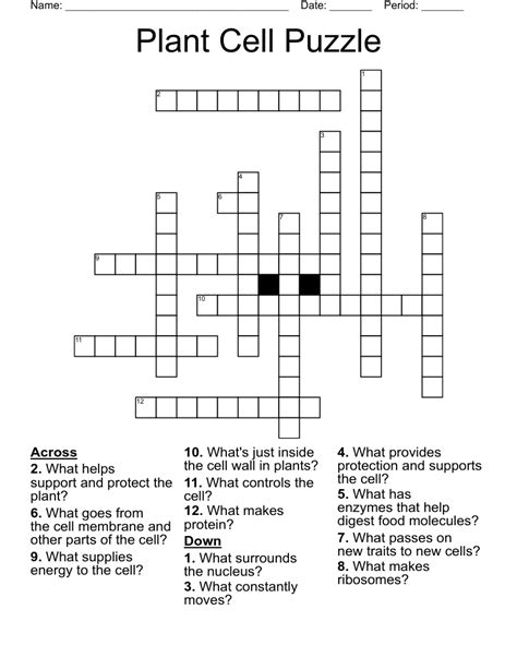 Plant Cell Puzzle Crossword WordMint