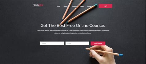 30 Best Free Education Website Templates For Designers In 2020