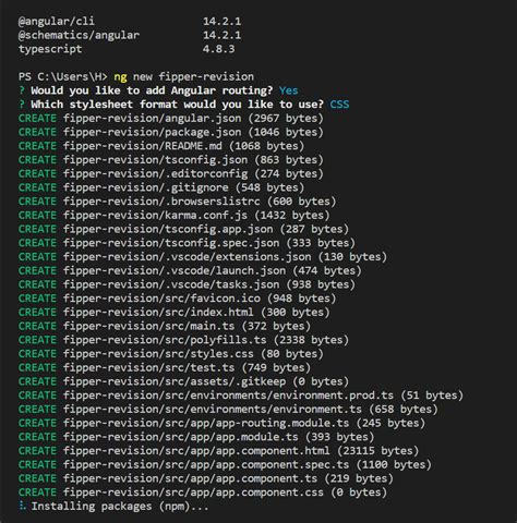 Ng New Is Not Working And Can Not Setup Angular Cli And Pending On
