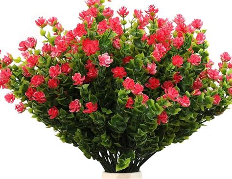 Las 10 flores de exterior más resistentes durante todo el año