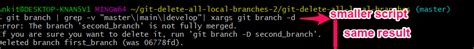 Delete All Local Branches In Git Delft Stack