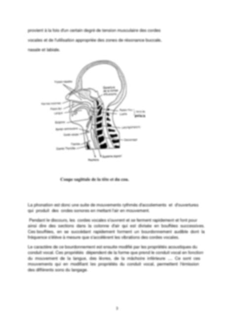 Solution Les Caract Ristiques Articulatoires Et Acoustiques Des Sons