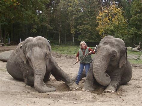Gallery Tierpark Cottbus