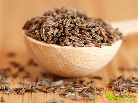 Cominho saiba para que serve o chá Medicina Natural