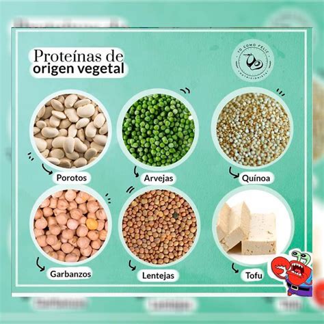 Proteínas de origen vegetal yocomofeliz