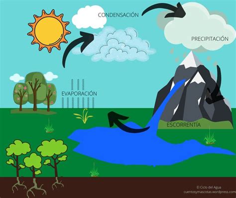 De dónde viene el agua Ciclo del agua Agua Ciclo hidrologico