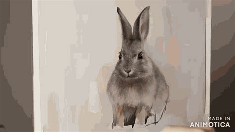Daria Callie Drawing Gifs Daria Callie Drawing Gifs Art Gifs
