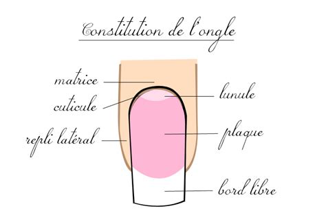 Nail Art et vernis à ongles Tendances Conseils et tutos 175 Designs