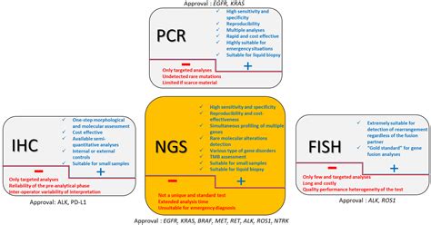 Ros Rearrangements In Lung Adenocarcinoma