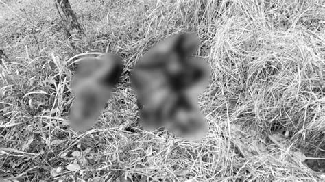 Arrojan Cuerpos En Bolsas Negras En Acayucan Fuerza Noticias