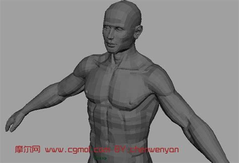 男人 男人体maya模型 基础人体模型下载 摩尔网CGMOL