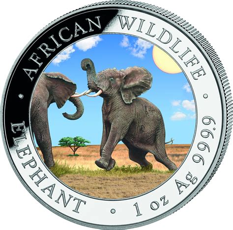 1 Unze Silber Somalia Elefant 2024 Tag Design Auflage 5 000 Coloriert