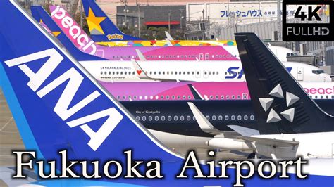 4K 飛行機 動画 Plane Spotting at Fukuoka Airport in Japan 福岡空港 2021 12
