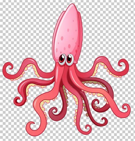 Squid As Food Octopus Png Clipart Cephalopod Clip Art Drawing