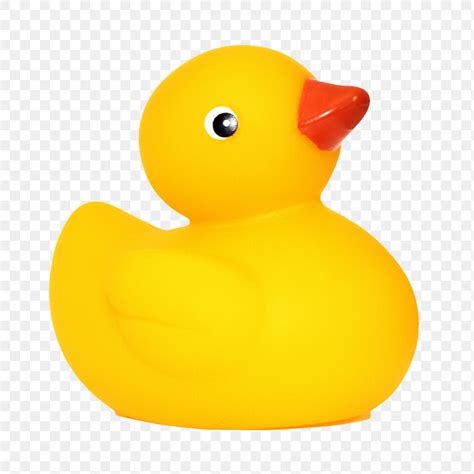 Rubber Duck Png Sticker Transparent Free PNG Rawpixel