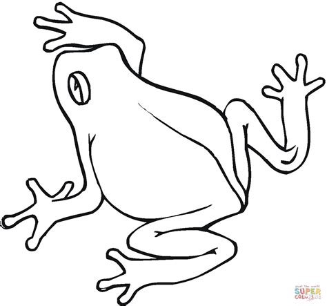 Disegno Di Rana Dall Alto Da Colorare Disegni Da Colorare E Stampare