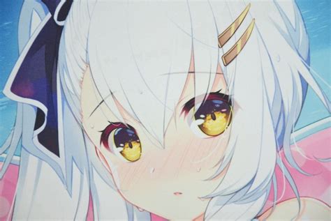 朱雀院椿 描き下ろしB2タペストリー ソフマップ予約特典 感想 日毎の戯言