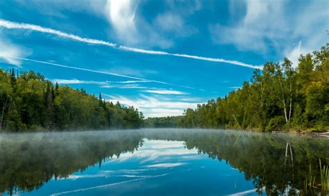 Fotos gratis paisaje árbol naturaleza bosque al aire libre