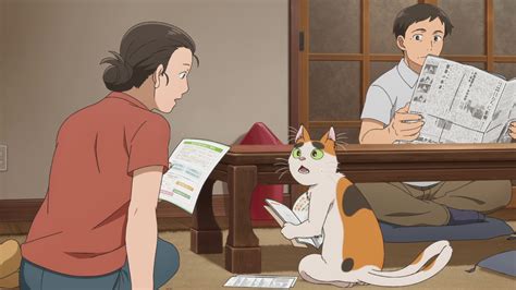 Tonari no Yōkai san Anime AnimeClick it