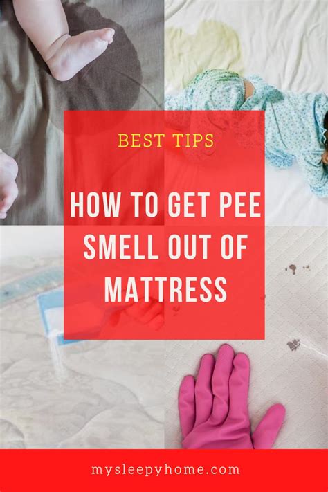 How To Get Pee Out Of Mattress Remove Urine Stains Pee Smell How To Remove Urine Stains