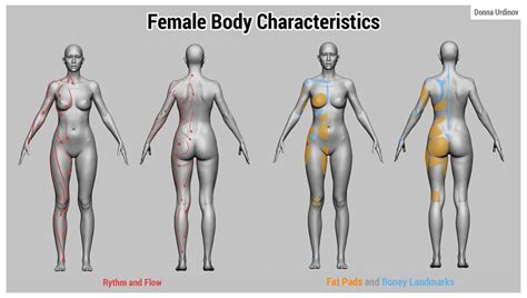 Zbrush Female Telegraph