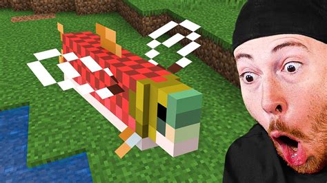Minecraft Memes You Can T Explain YouTube