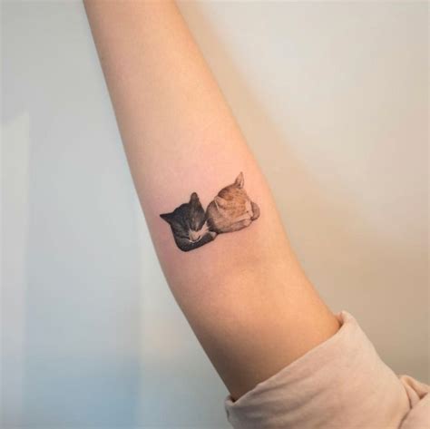 1001 ideas de tatuajes de gatos simbólicos en fotos Tatuaje gato