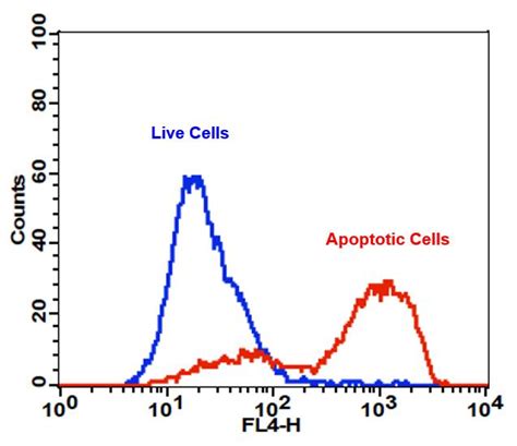 Cell Meter APC Annexin V Binding Apoptosis Assay Kit Optimized For