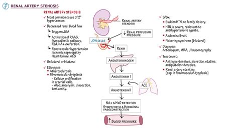 Clinical Pathology Renal Artery Stenosis Ditki Medical Biological