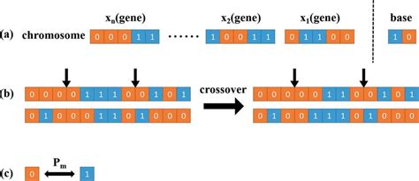 binary encoding and genetic operators a parameters are converted to download scientific