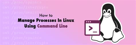How To List All Processes In Linux Ubiq BI