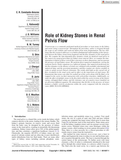 Pdf Role Of Kidney Stones In Renal Pelvis Flow