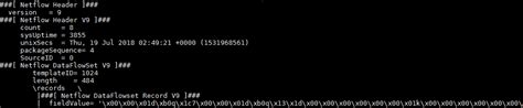 Scapy Decode Raw Netflow Data To Human Readable Text In Python