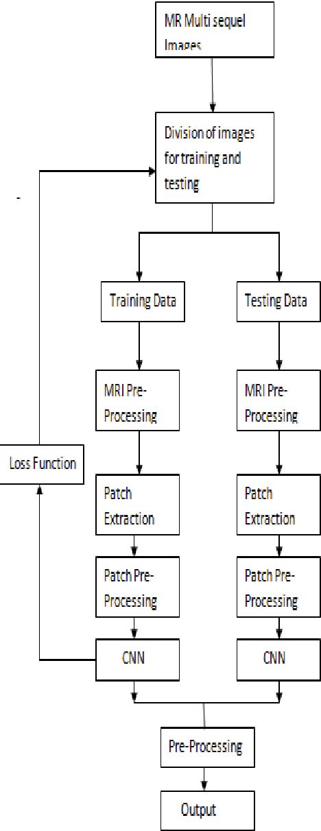 figure 1 from segmentation and detection of tumor in mri images using cnn and svm classification
