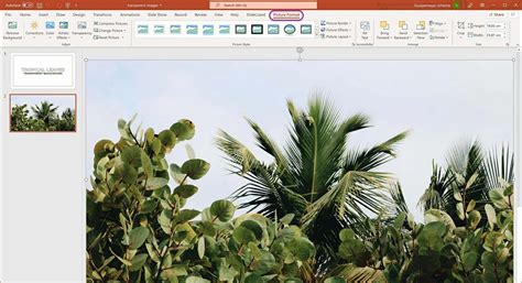 C Mo Hacer Transparente Una Imagen En Powerpoint Islabit