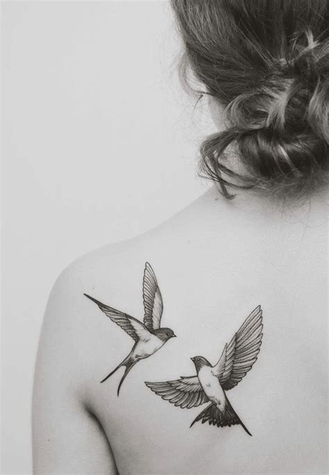 Pin On Aves