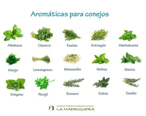 Aromaticas Mad X