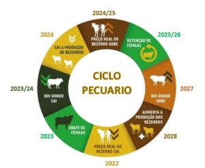 PARTE 2 CICLO PECUÁRIO E A COMERCIALIZAÇÃO ABCB Senepol