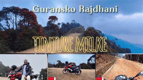 GURANSKO RAJDHANI TINJURE II TINJURE MILKE BASANTAPUR YouTube