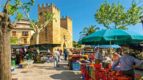 Zauberhafte Mandelbl Te Auf Mallorca Trendtours